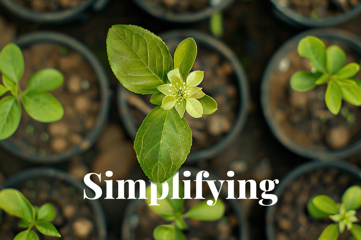 CSRD Essentials: simplifying EU sustainability reporting